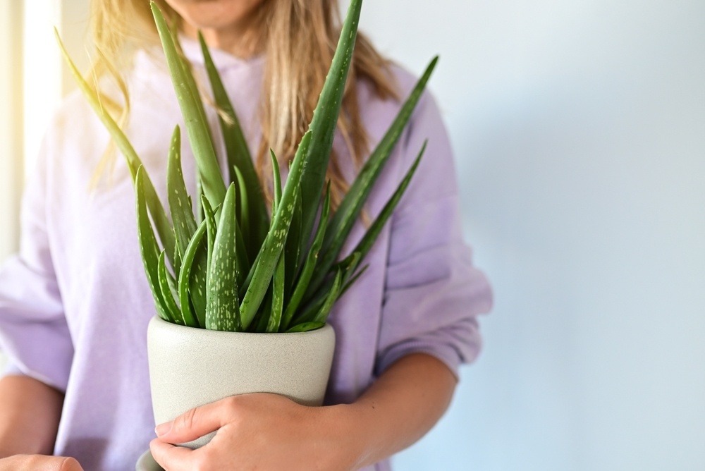 Exploring the power of plants for health - Coblands Garden Centre